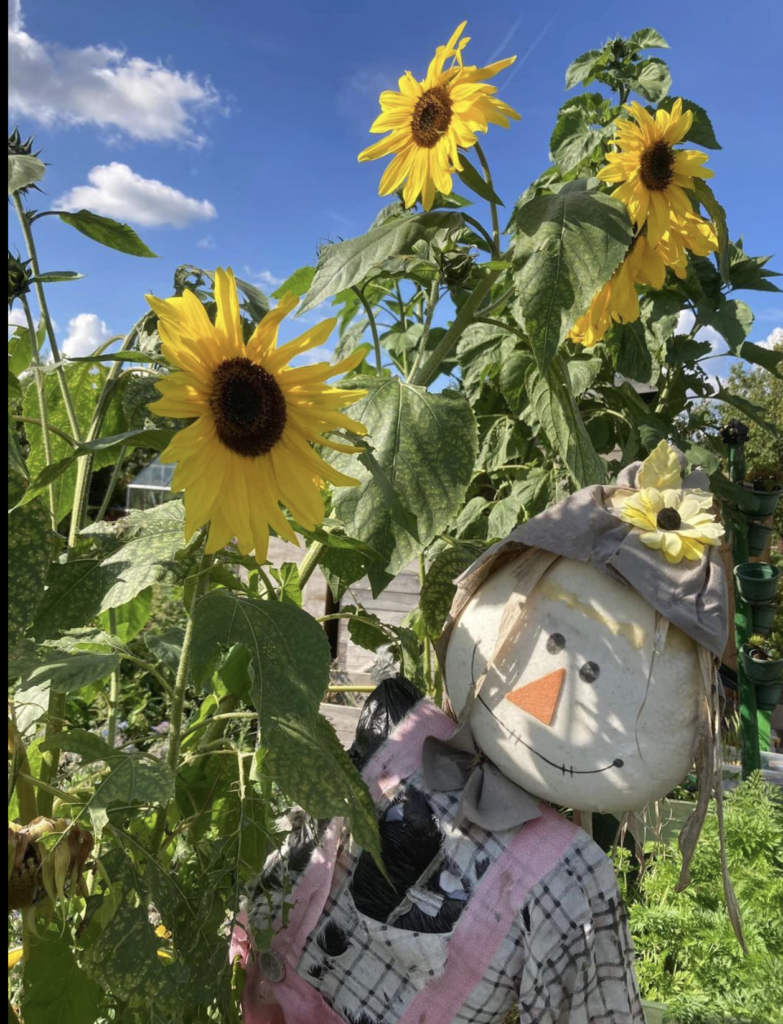 Inham Nook Allotments – Open Day | CTTC Forum